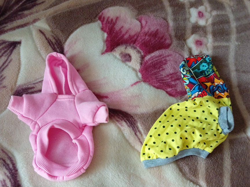 Отдам для котенка сфинкса,за любой корм роял канин