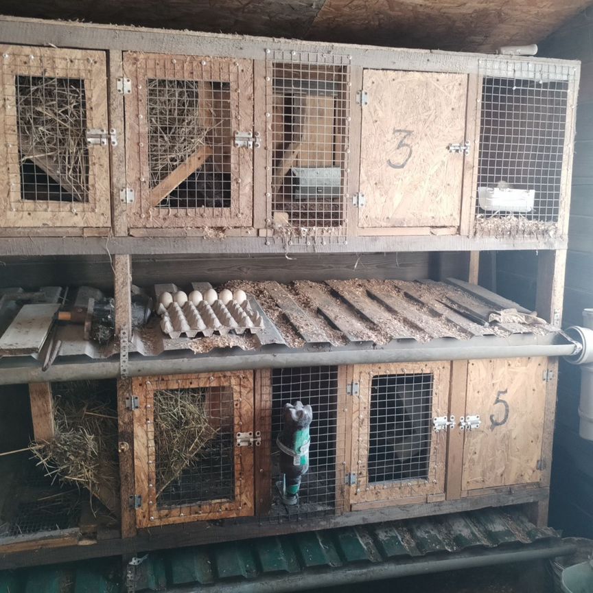 Продам клетки для кроликов