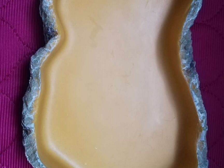 Миска для рептилий