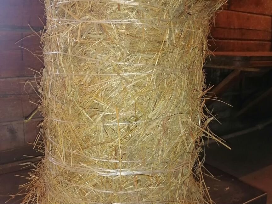 Сено в ассортименте