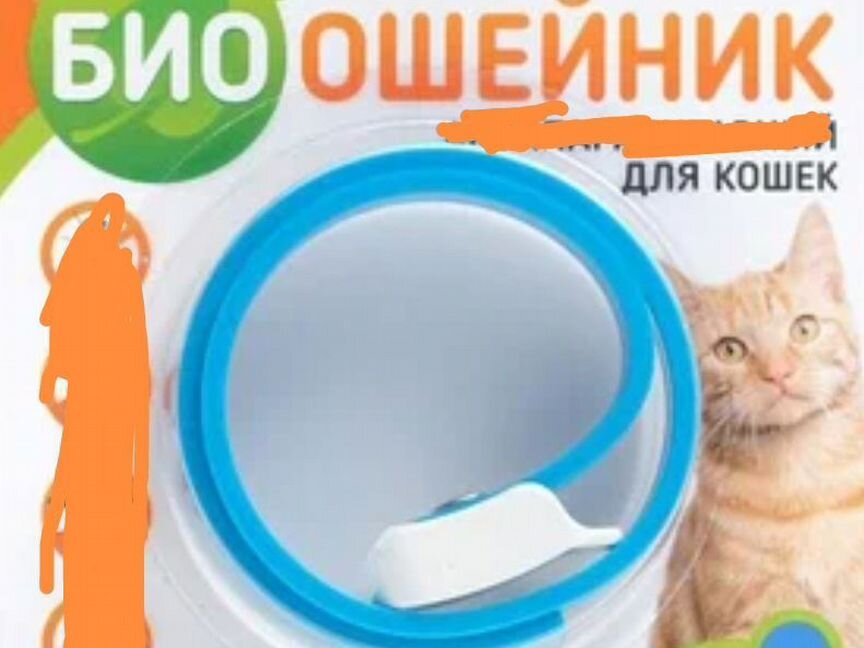 Ошейнике для кошек