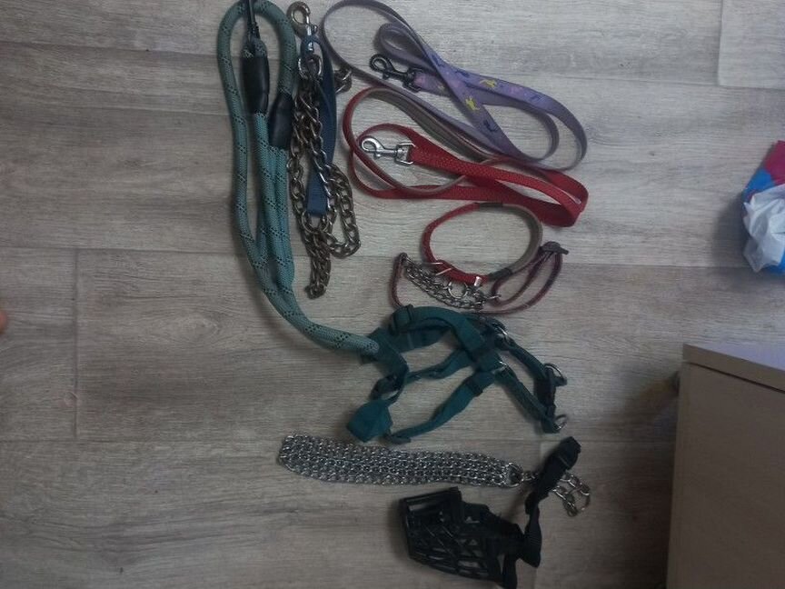 Ошейники, полуудавки, поводки