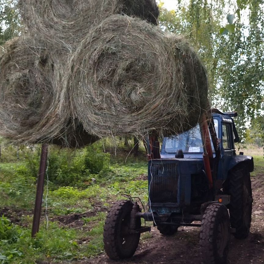 Сено в тюках и рулонах
