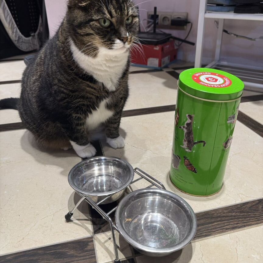 Для котиков