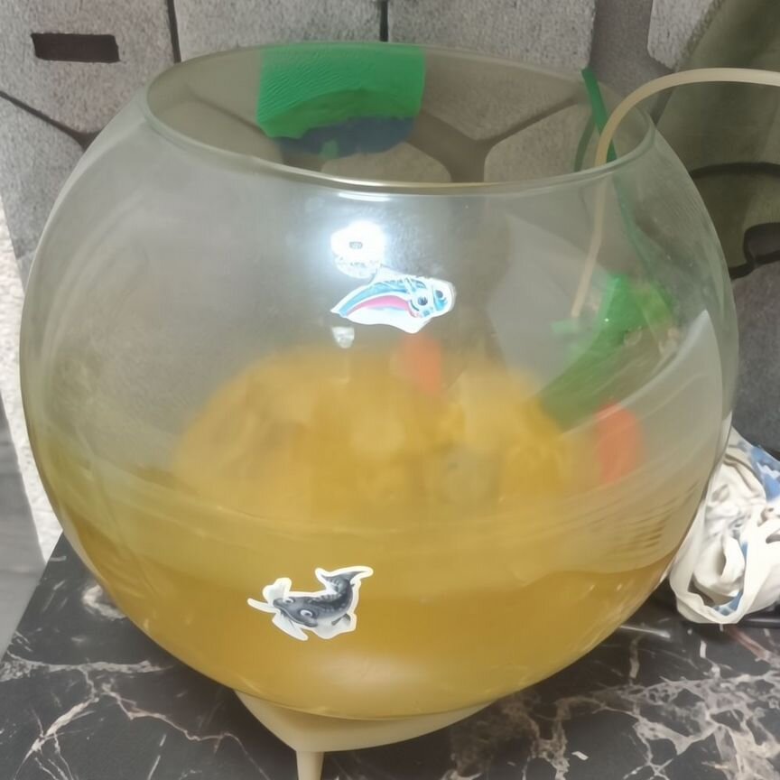 Аквариум с двумя рыбками и т.д