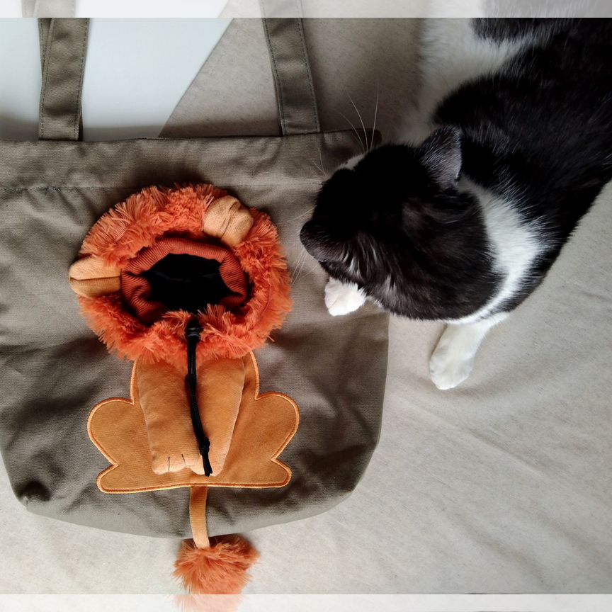 Стильная сумка переноска для кошек и мелких собак