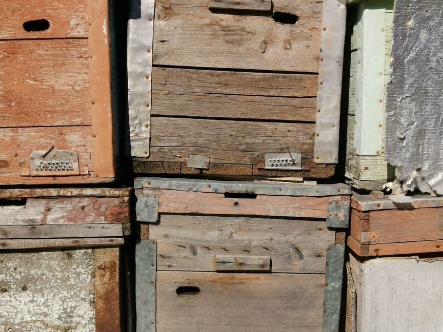 Нуклеусы(улья)