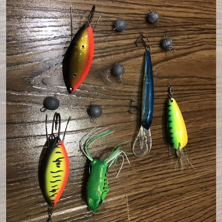 Аквариумные рыбки