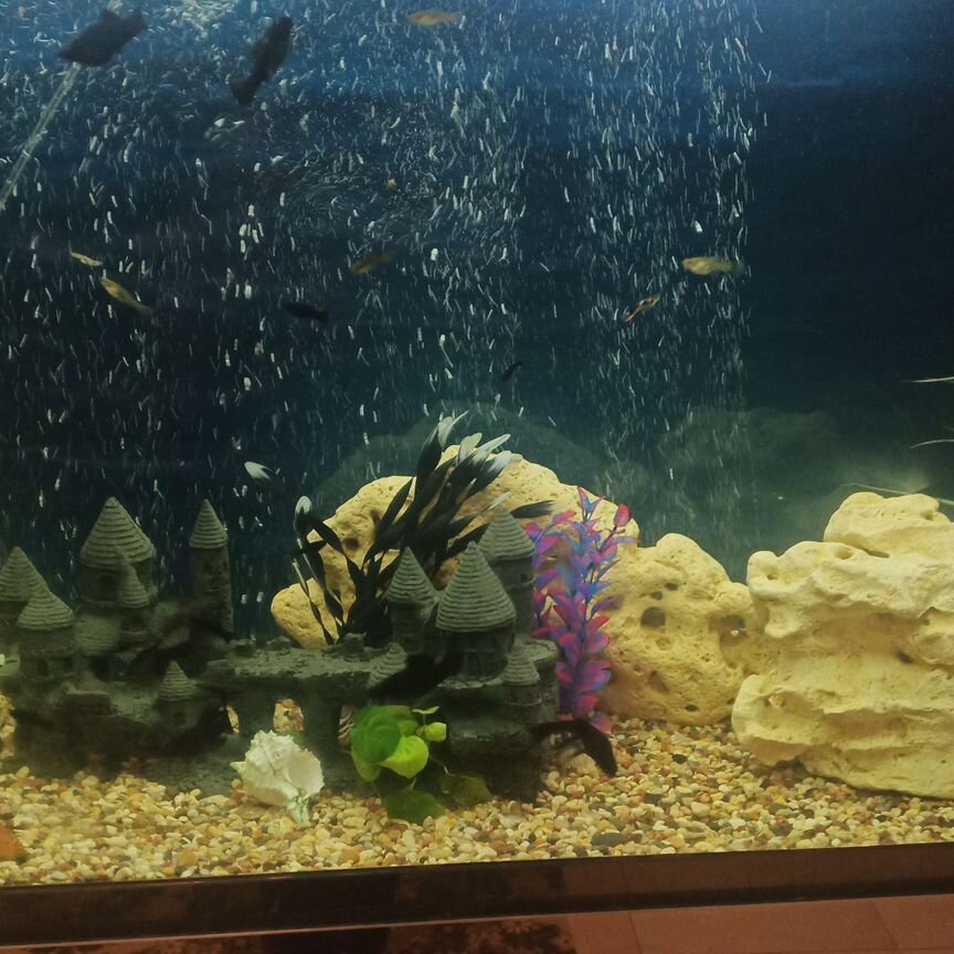 Украшение для аквариума