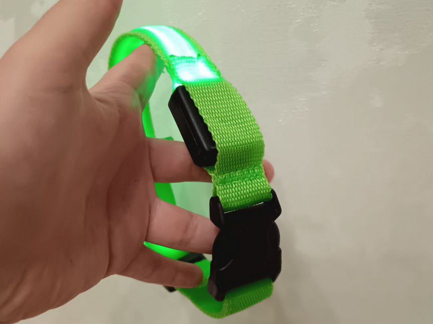 Амуниция для собак