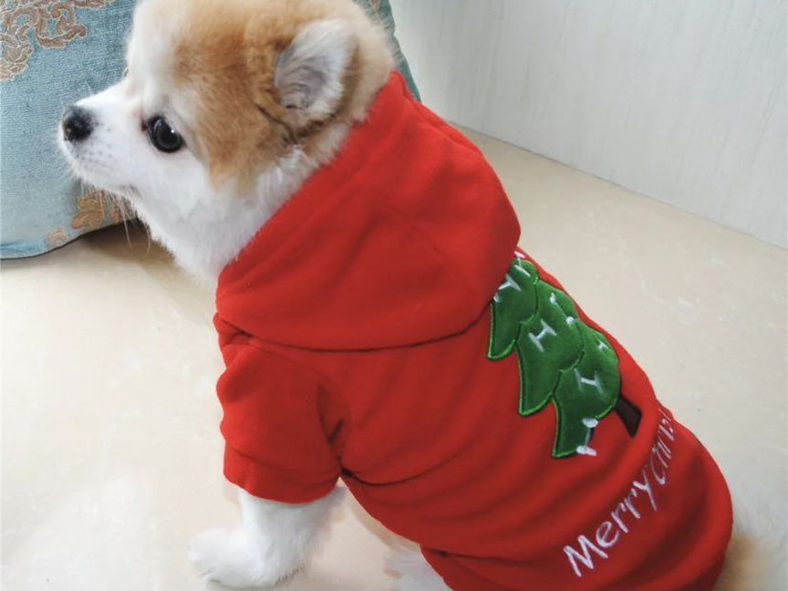 Новогодняя одежда для собак