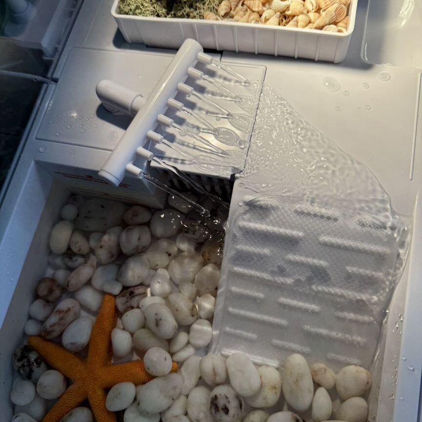 Две черепахи и аквариум