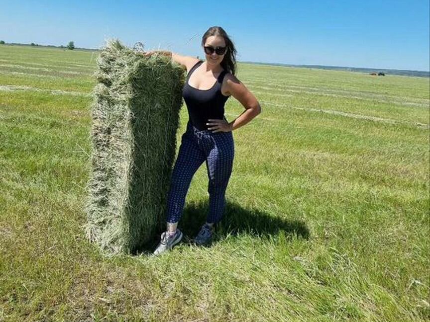 Сено в тюках