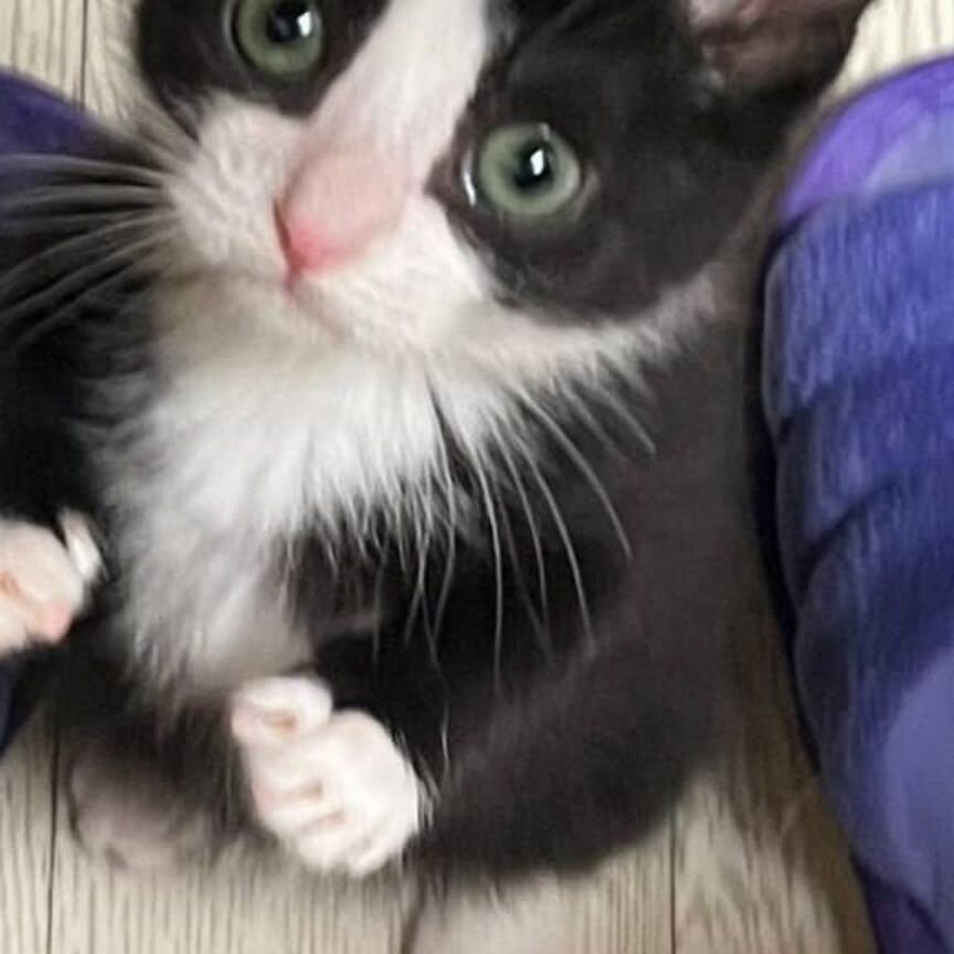 Малышка Тесс ждёт своего человека