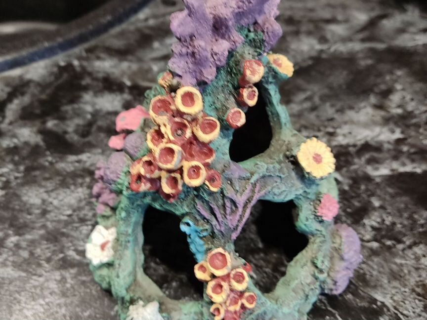 Все для аквариума