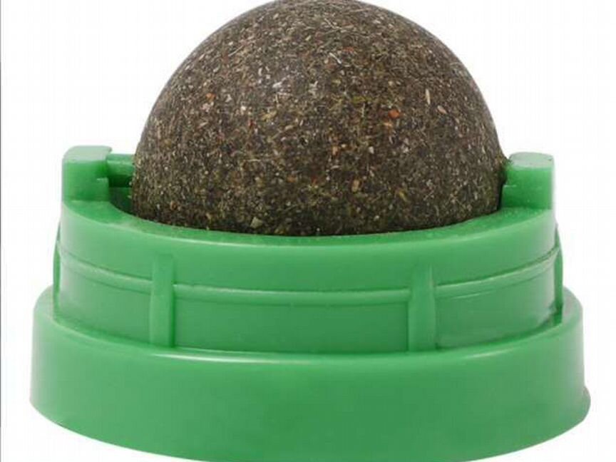 Кошачья мята