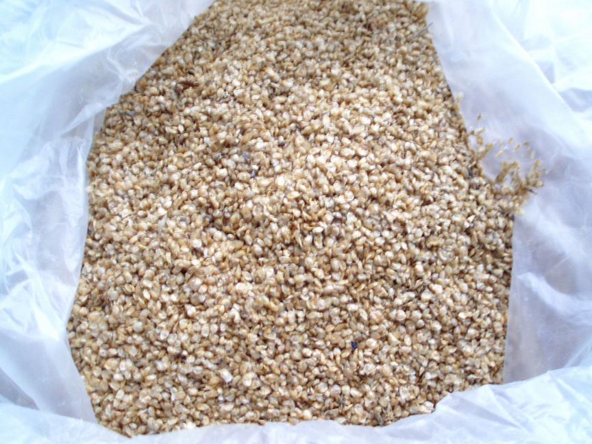 Корм для аквариумных рыбок Дафния