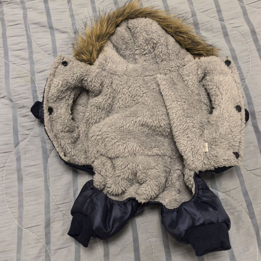 Одежда для маленьких собак s