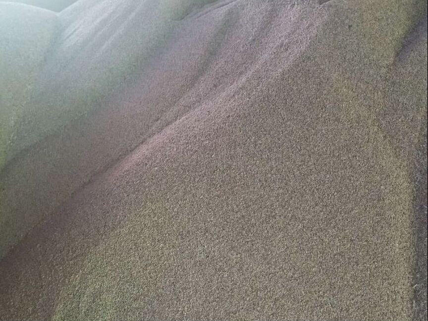 Кормовой овёс, Просо на корм