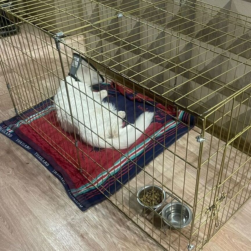 Клетка вольер
