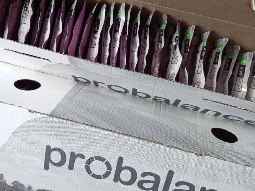 Probalance для кошек, для котят