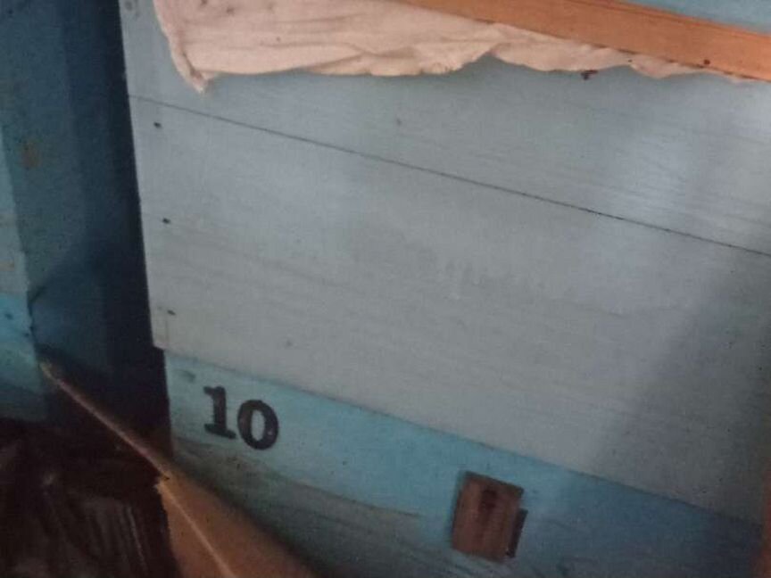 Улье