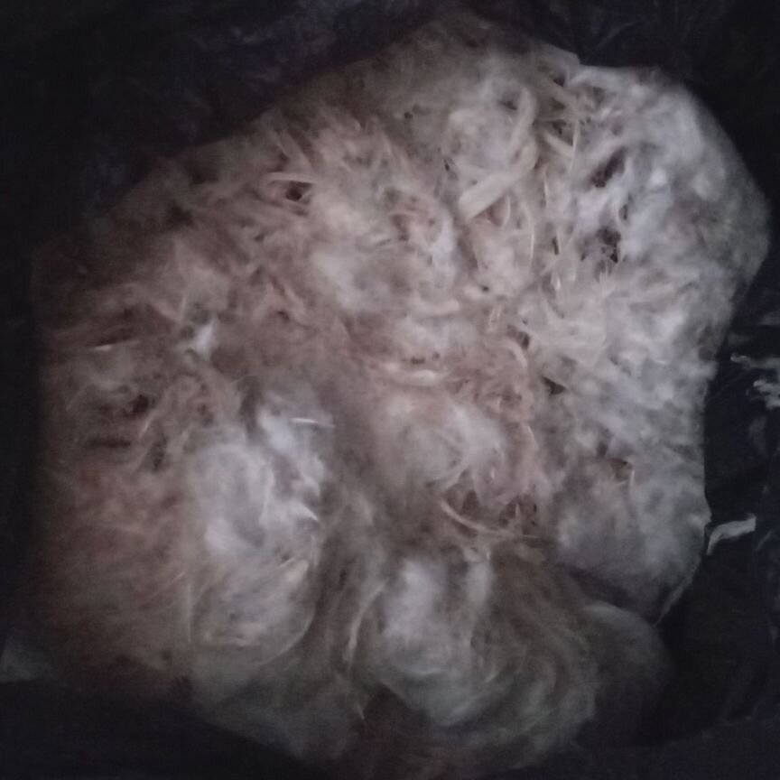 Пух перо гусиное