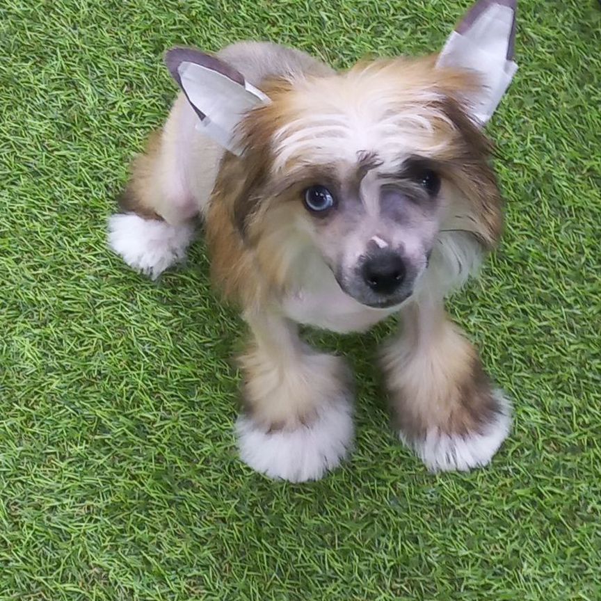 Эусклюзивый голый мальчик для любви