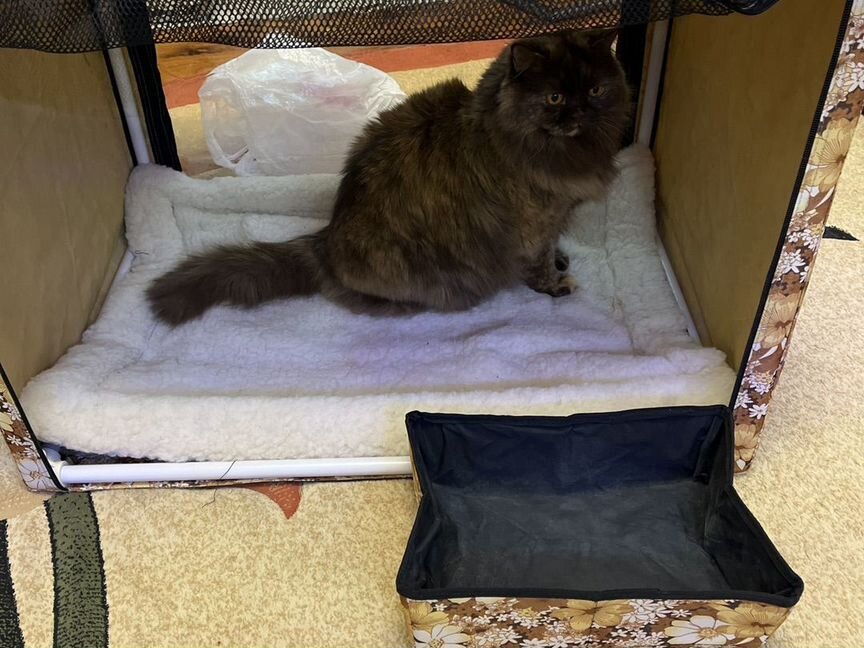 Палатка выставочная для кошек разборная 55x75x55