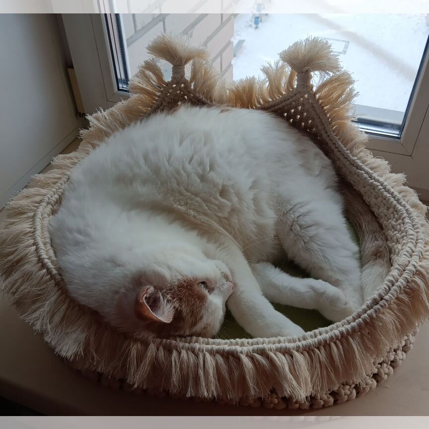 Лежанка/корзинка для кошек