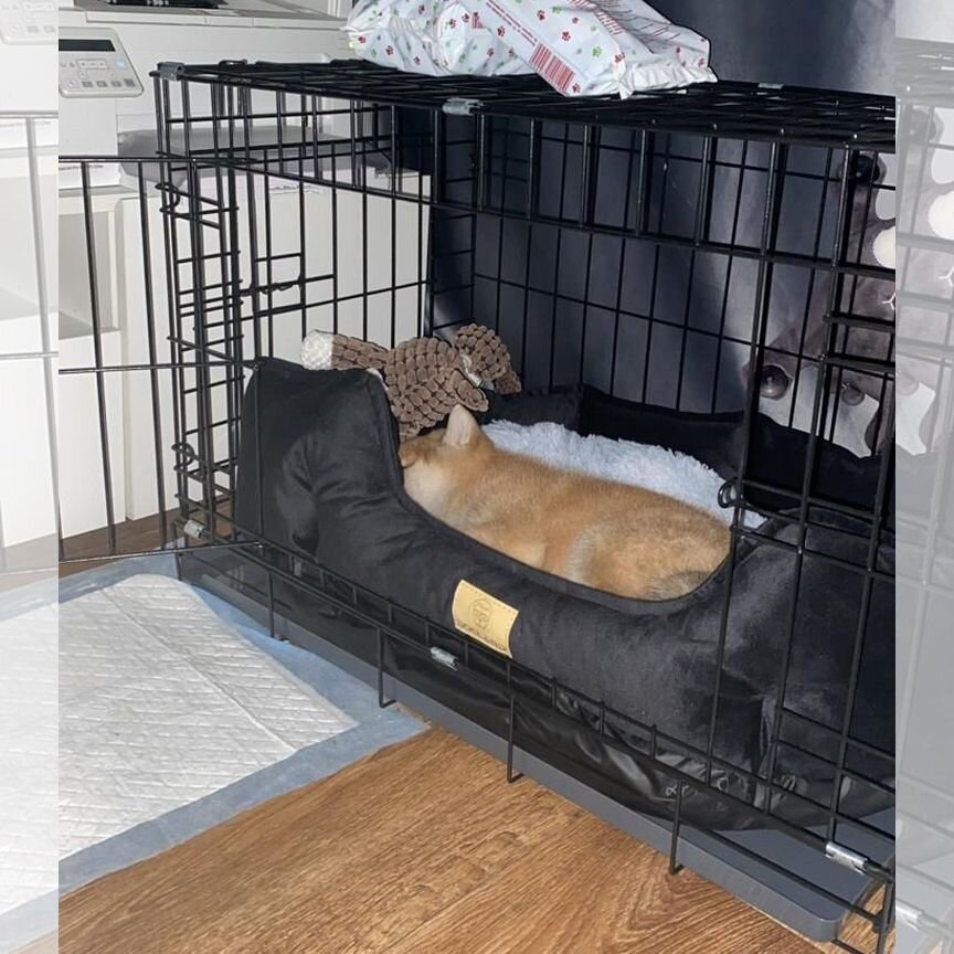 Клетка для собак