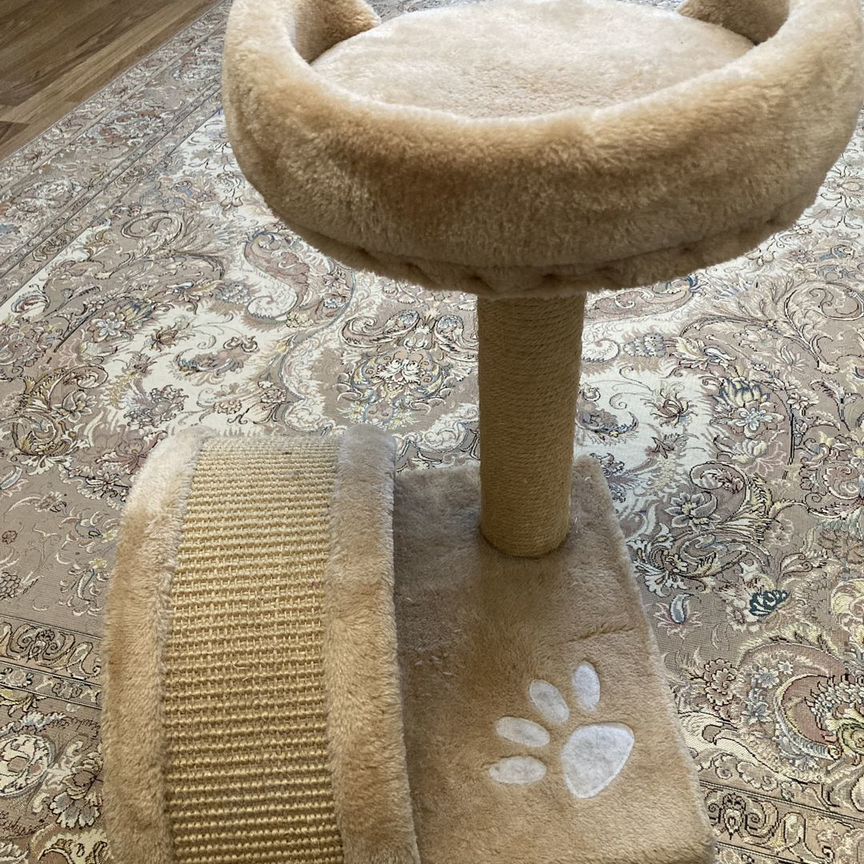 Когтеточка новая с лежанкой и дугой