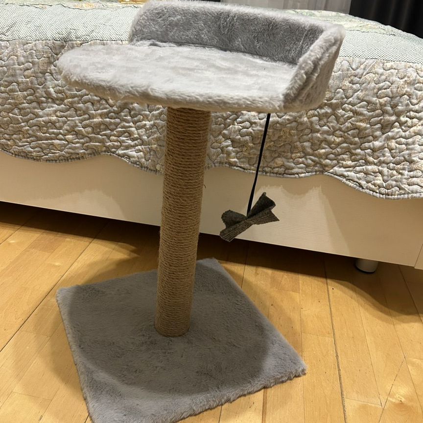 Когтеточка