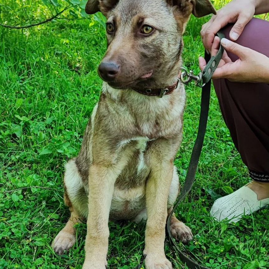 Ищем ма и па