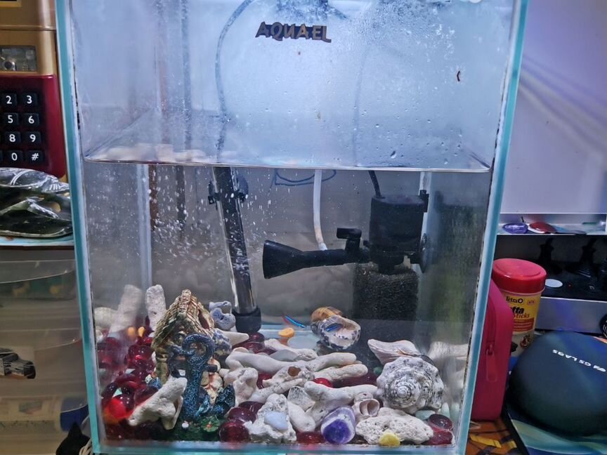 Аквариум с рыбками