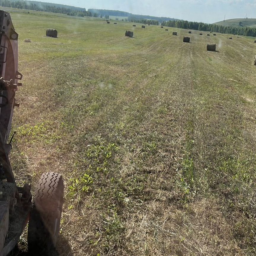 Сено в рулонах или обмен на крс