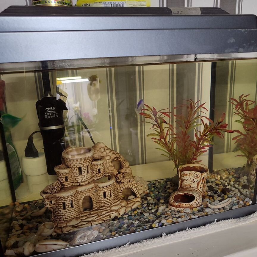 Аквариум с рыбками