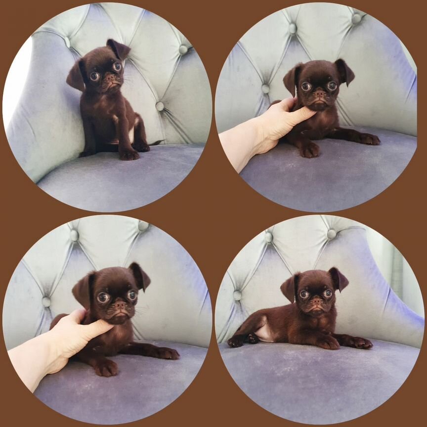 Девочка Черри