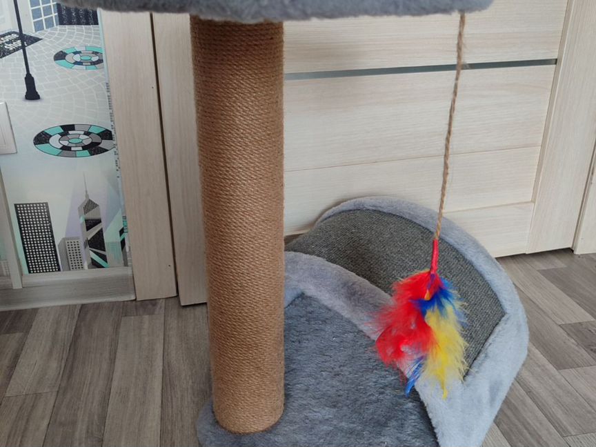 Когтеточка