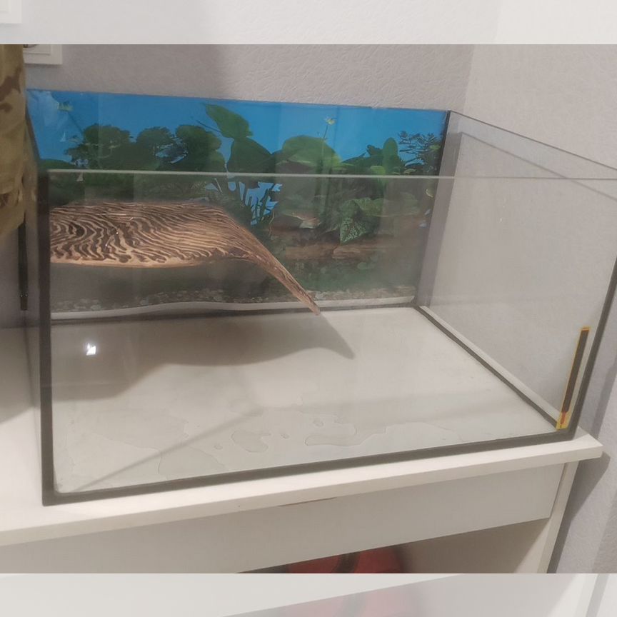 Аквариум для черепах   камни