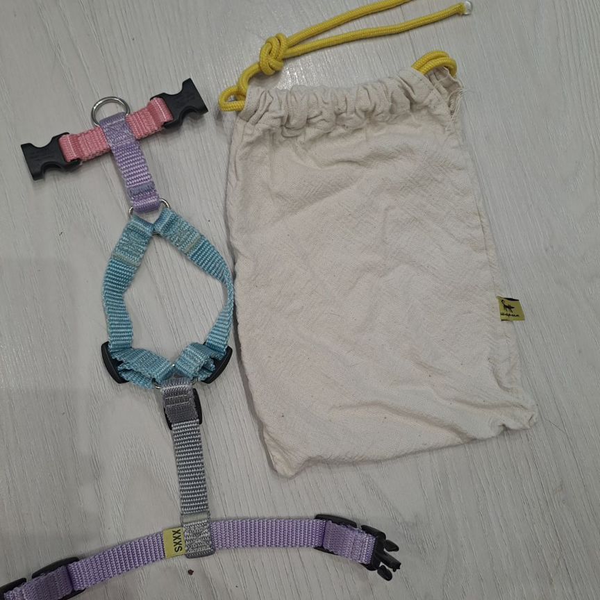 Шлейка sharik dog