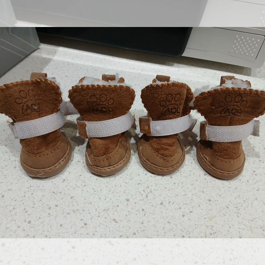 Обувь для маленьких собак зимняя