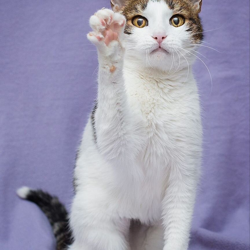 Семья, ну где же вы