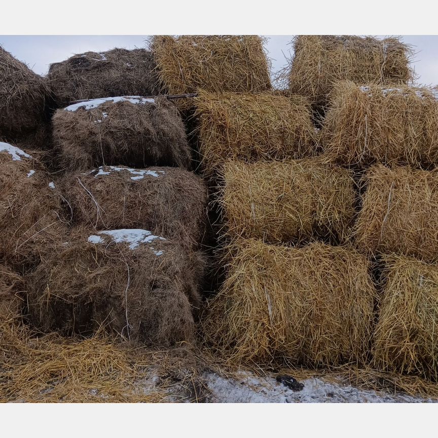 Сено салома доставка