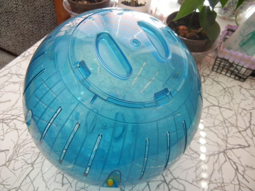 Прогулочный шар для шиншилл