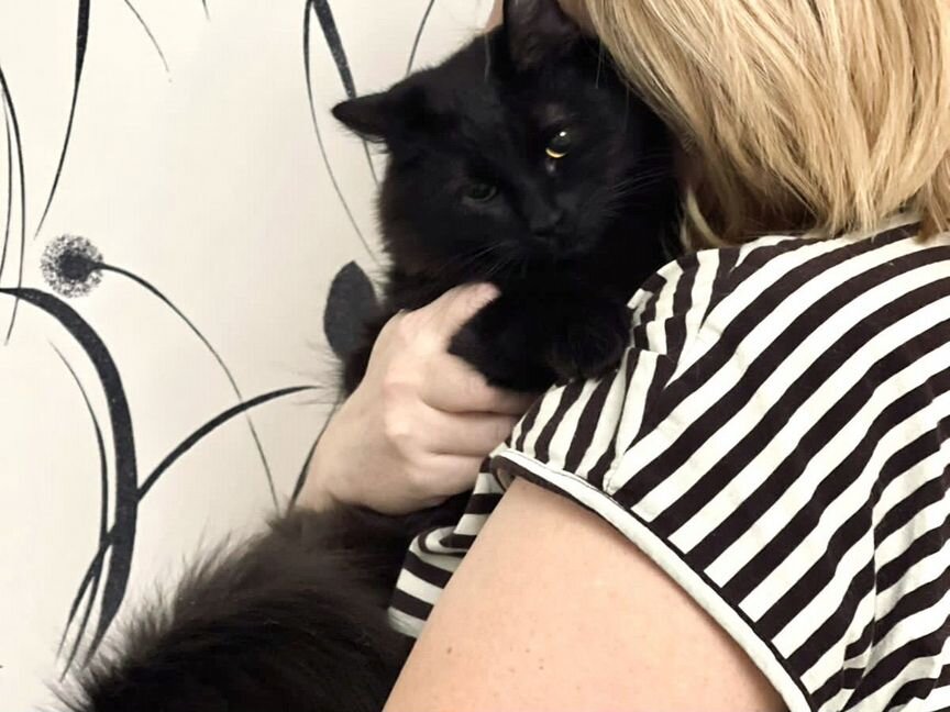 Кузьма ищет дом