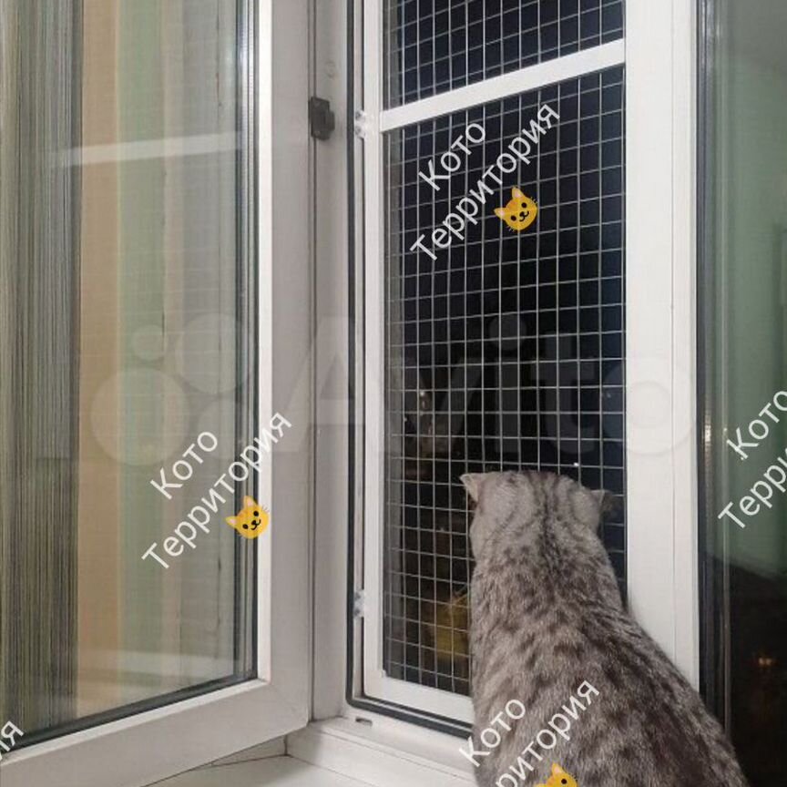 Сетка на окна антикошка