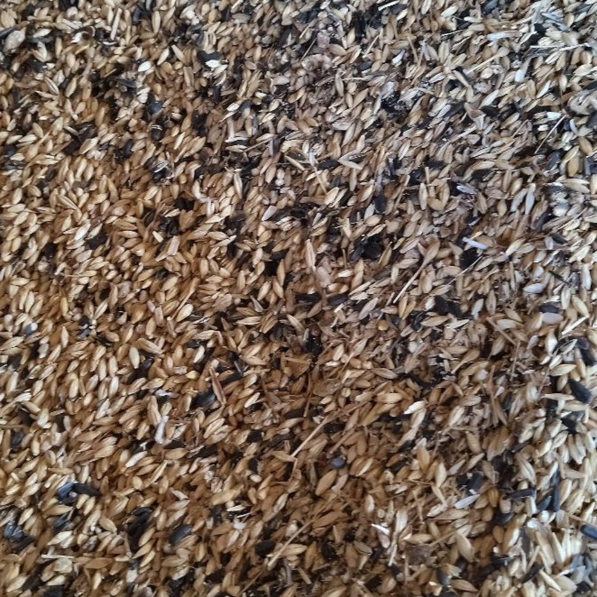 Ячмень с семенами подсолнуха