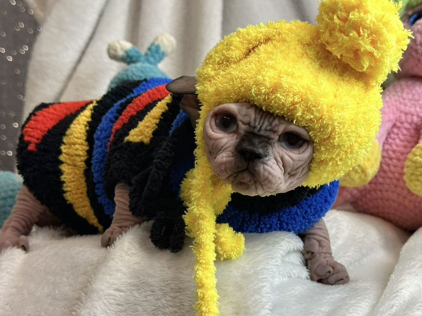 Wrinkles топовая девочка