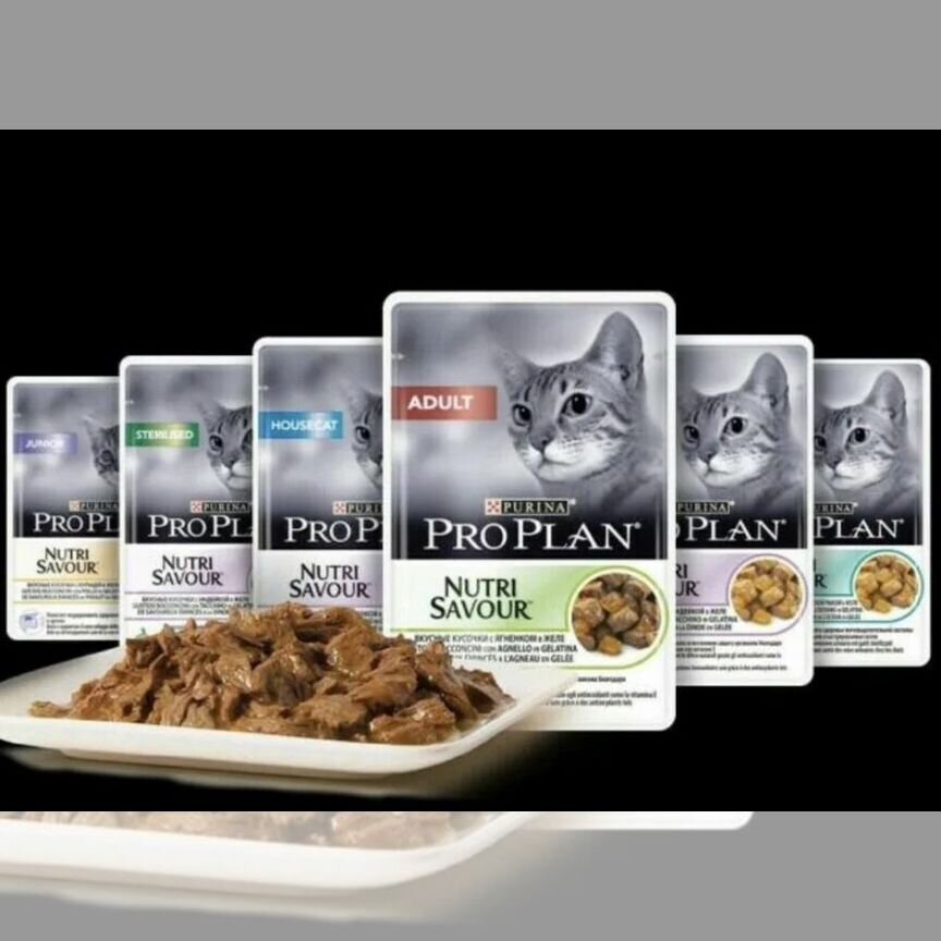 Корм для кошек проплан